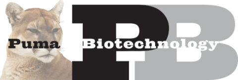 Our Story | Imerman Angels